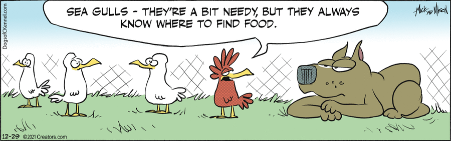 Bird Toon of the Day - December 5, 2022 | Mickaboo